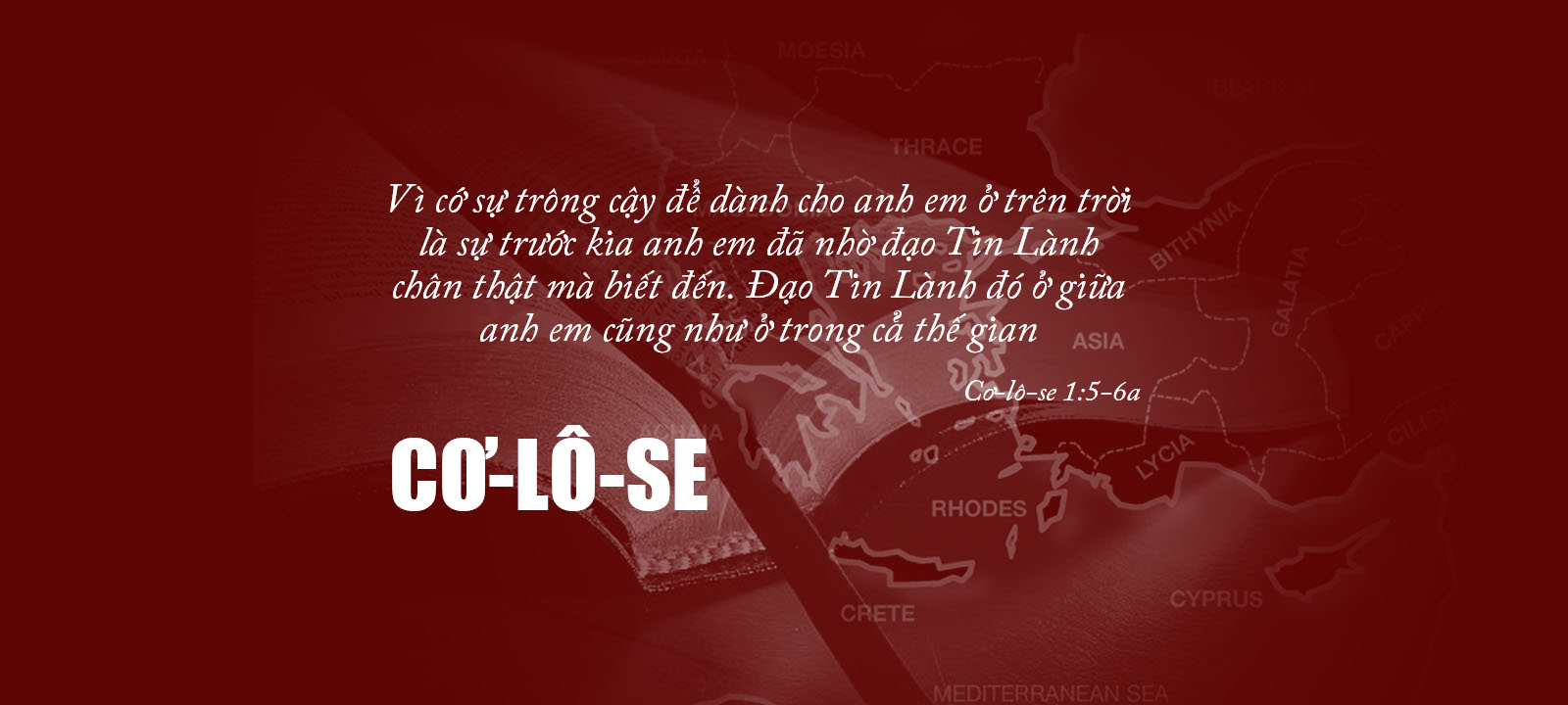 Cơ-lô-se × VACSF.ORG